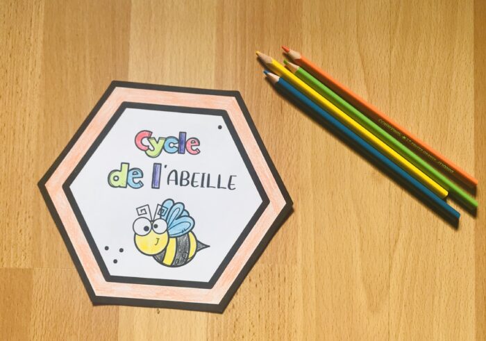 DIY Enfant - Créer son livre animé : le cycle de vie des abeilles