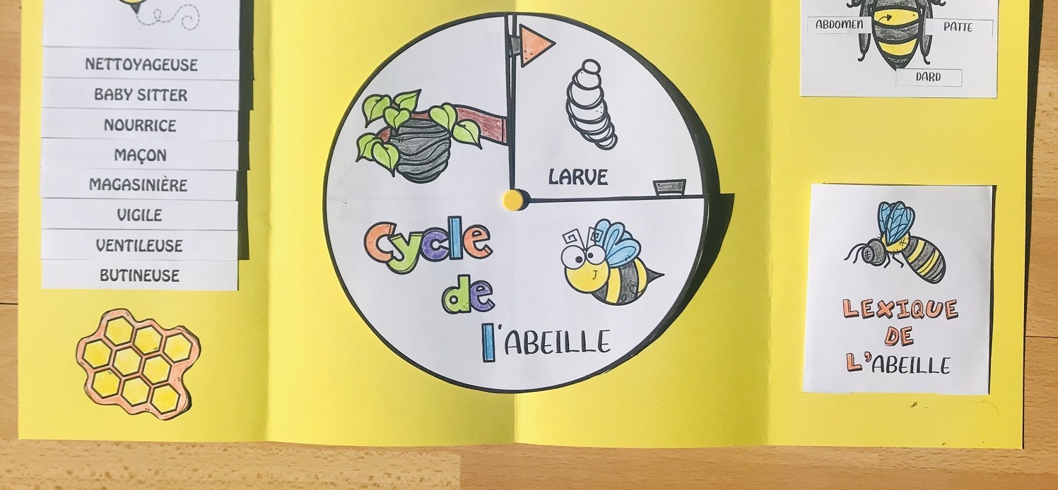 DIY Enfant - Créer son livre animé : le cycle de vie des abeilles
